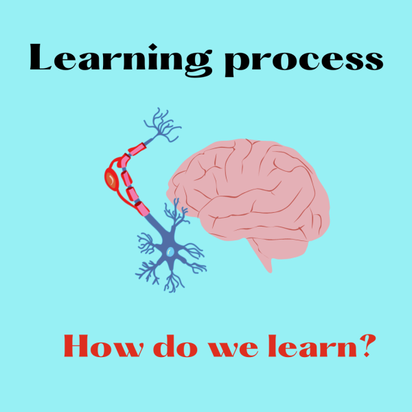 Learning Process - Mindful Parenting